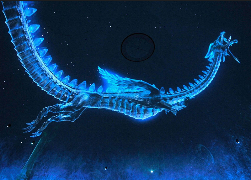 History - Falcon's Attractions