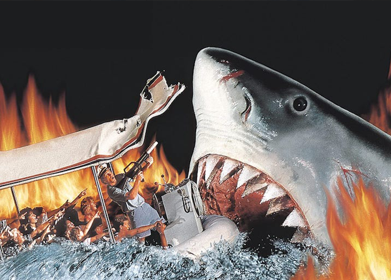 History - Falcon's Attractions